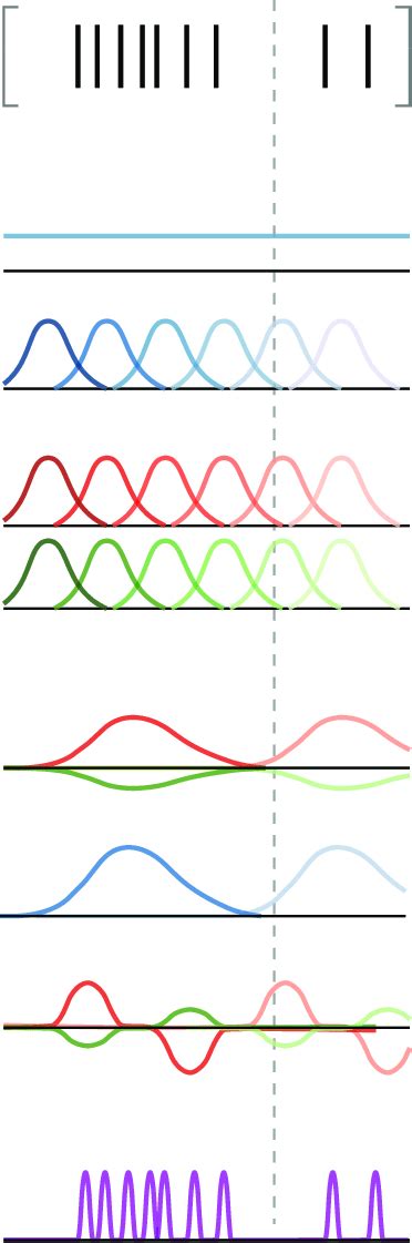 Comprehensive Lnp Model Of Neural Activity We Model The Spiking