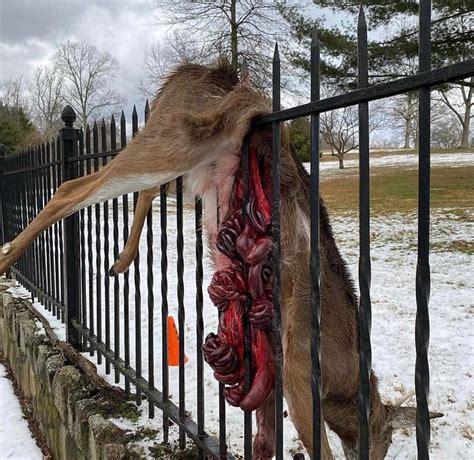 Dire Miscalculation Scrolller