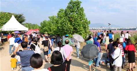 구리시 코스모스축제 체험부스 운영자 모집