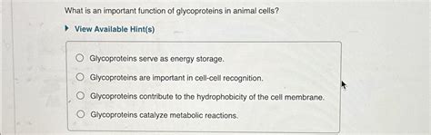 Solved What Is An Important Function Of Glycoproteins In