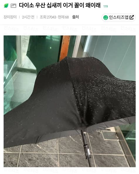 이슈 유머 다이소 우산 십새끼 이거 꼴이 왜이래