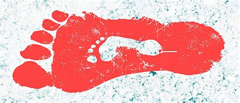 Bigfoot Thriller Devolution Brings In Coming Home In The Dark