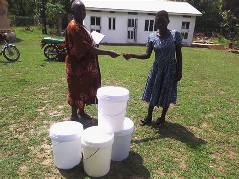 Bees Empower Women The Story Of Akello Rose Bees For Development