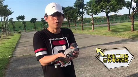（煮夫日常 養鴿樂 117）偷得浮生半日閒 八里放鴿竹圍漁港走一回（外訓第七趟） Youtube