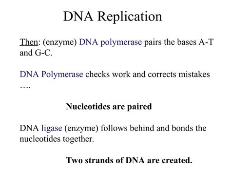Dna And Rna Similarities And Differences Ppt