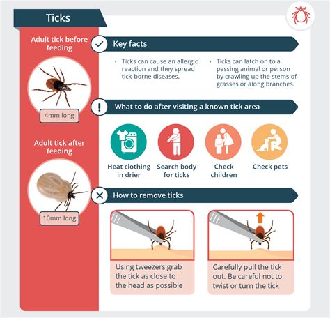 Tick Bite First Aid Infographic With Images Tick Bite Ticks Images