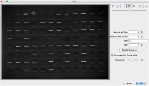 Generating PCR Plates BWP Informatics SOPs 1 0 Documentation