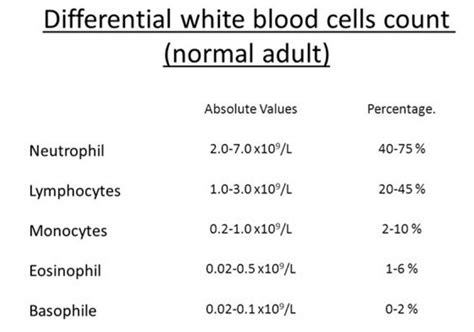 Solved Exercise 3 Differential White Blood Cell Count You Will