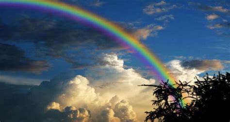 Susunan Warna Pelangi Mengikut Urutan Padananwarna