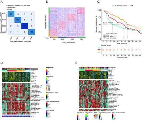 Validation Of Classification To Reproduce Four Integrative Consensus
