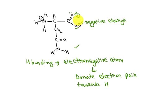 SOLVED Hydrogen Bonding Unanswered Attempts Left Select All Of The ATOMS That Can Act As A