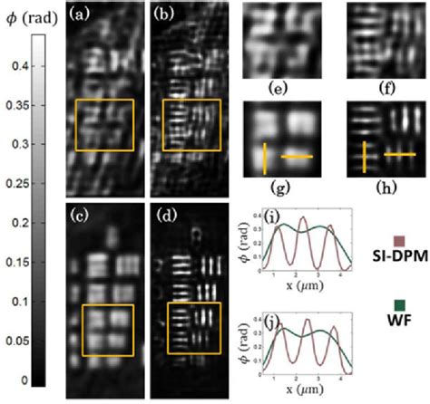 Figure 2 From Structured Illumination Diffraction Phase Microscopy For