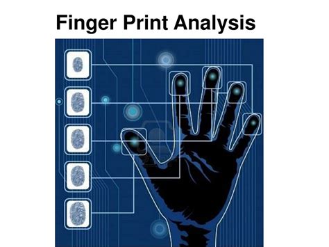 Ppt Fingerprints Classes Patterns And Identification Principles Powerpoint Presentation