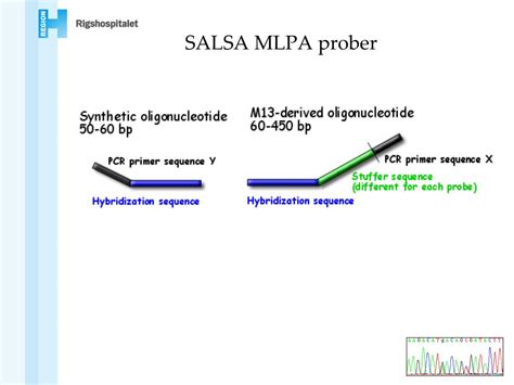 Ppt Mlpa Multiplex Ligation Dependent Probe Amplification