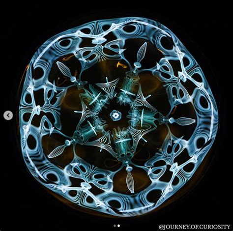 Sound Water And Light Cymatics Photography The Art Of Visible