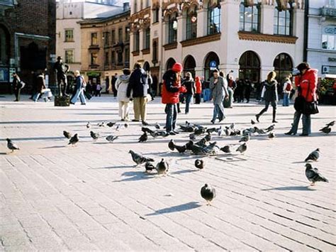 Cracow Poland - a complete travel guide to Poland's most beautiful city