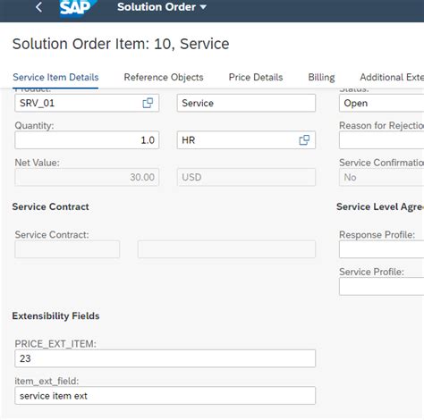 Solution Order Extensibility Part 3 Custom Fiel Sap Community