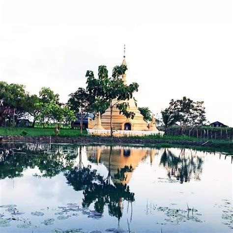 သာလီစွပါ🙏🙏 ရခိုင်တေးခြင်း စုံစည်းရာ