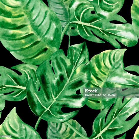 수채화 손으로 그린 몬스터는 매끄러운 패턴을 남깁니다 열대 단풍 배경 직물과 포장지용 정글 프린트 이국적인 벽지 가리기에 대한 스톡 벡터 아트 및 기타 이미지 Istock