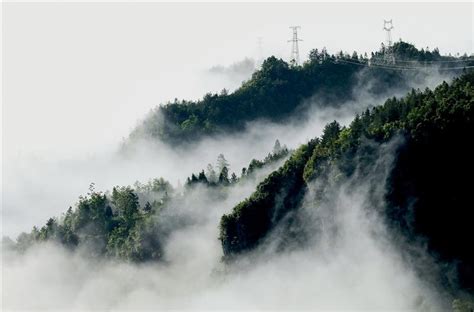 作品浏览中国摄影报