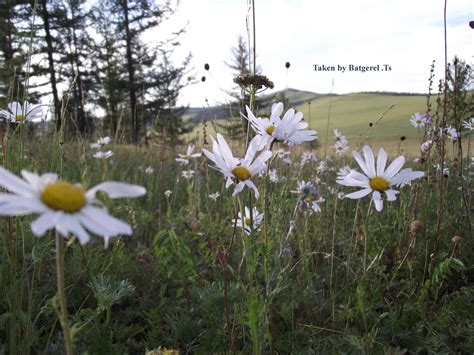 ӨВӨРХАНГАЙ АЙМГИЙН БАЙГАЛЬ ОРЧИН АЯЛАЛ ЖУУЛЧЛАЛЫН ГАЗАР БАЙГАЛИЙН УРГАМАЛ