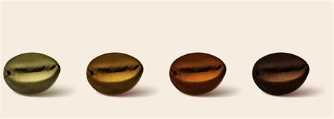 다채로운 배경에 고립 된 커피 로스팅 로스팅의 다양한 단계를 보여주는 사실적인 세트 갈색에 대한 스톡 벡터 아트 및 기타 이미지 갈색 개체 그룹 검은색 Istock