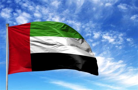 اجراءات تأسيس شركة في دبي Wis Consultancy