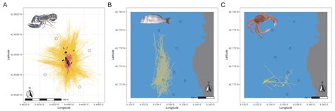 A Wireless Autonomous Real Time Underwater Acoustic Positioning System