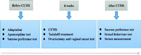 Timeline And Schedule Of Experiments Download Scientific Diagram