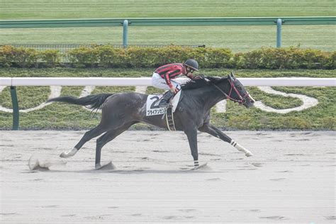 Netkeiba On Twitter 東京4r 3歳未勝利 芝1600 シロノクミキョク 父ゴールドシップ 母マイネアラベスク 東京