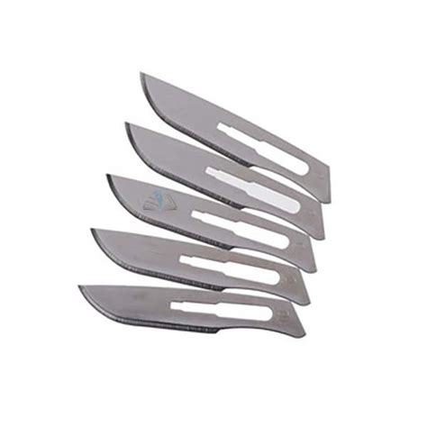 Rat Dissection Model India Manufacturers Suppliers And Exporters In India