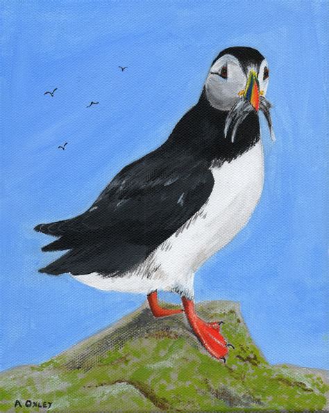 Puffin Original Acrylic Painting On Canvas Size 10x8 Canvas Painting