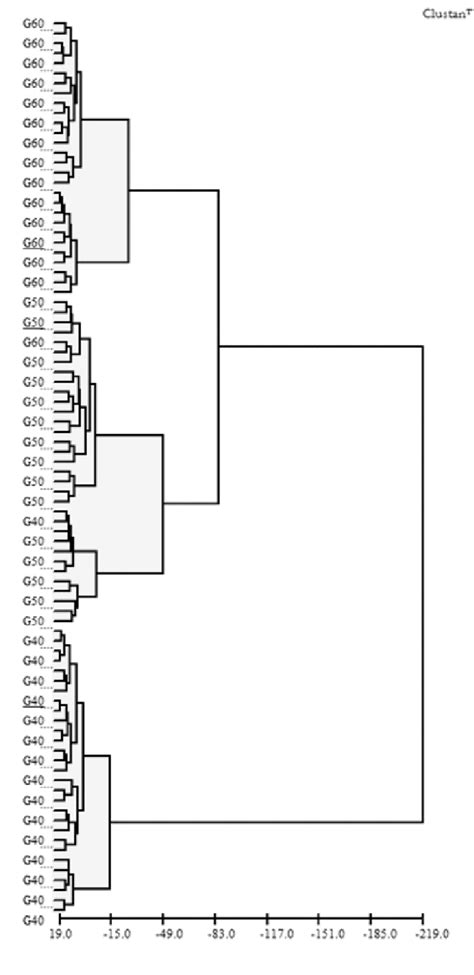 Cluster Analysis Wards Method Clustan™ Showing A Three Cluster Download Scientific Diagram