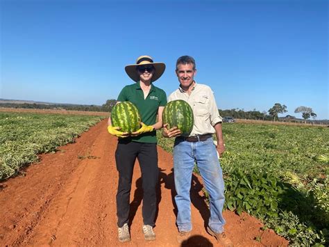 Hikmat Achekzai Posted On Linkedin