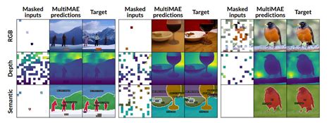 Epfls Multi Modal Multi Task Masked Autoencoder A Simple Flexible