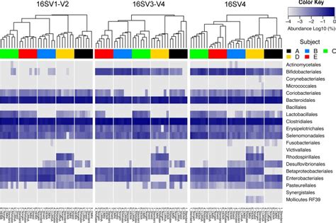 Impact Of Preservation Method And 16s Rrna Hypervariable Region On Gut Microbiota Profiling Pmc