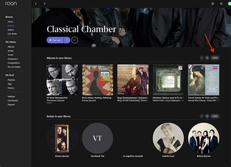 Missing More Button In Roon Arc Roon Software Discussion Roon Labs Community