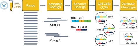 Cpugpu Hybrid Accelerating The Zuker Algorithm For Rna