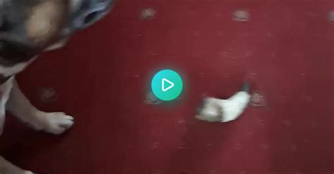 Excited Album On Imgur
