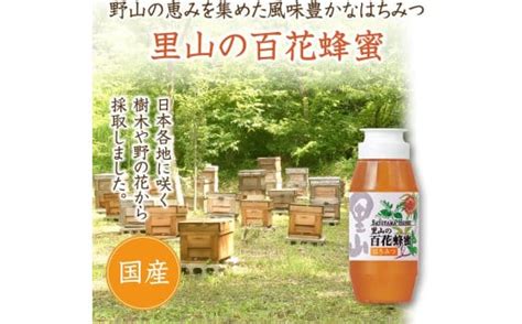 山田養蜂場 里山の百花蜂蜜300g（プラ容器入）×3本 （64253） 鏡野町ふるさと納税特設サイト