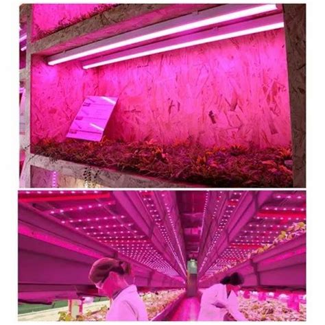 Aluminium 22w Fluortronix Full Spectrum Red Blue Led Grow Light At