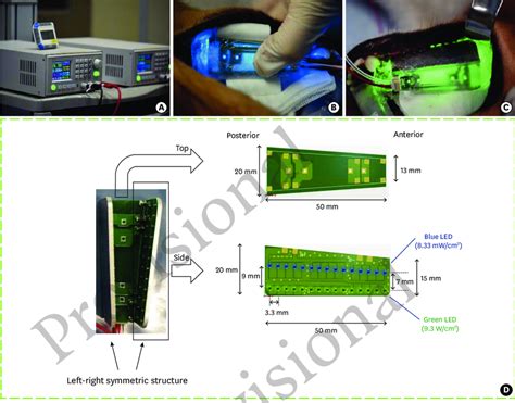 Led Irradiation Device Led Irradiation Was Performed Using A Specially Download Scientific