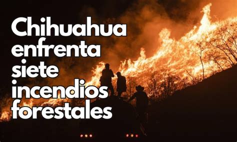Chihuahua Enfrenta Siete Incendios Forestales Que Afectan Más De 11 Mil