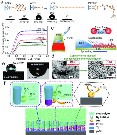 A Schematic Illustration Of Molecular Monolayer Modification Of Tio 2