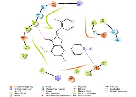 The 2d Interaction Of Nma2 At The Active Site Of Cdk2cyclin A