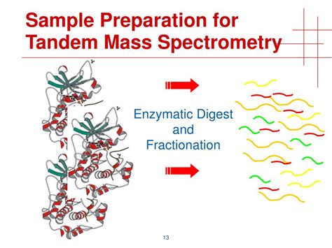 Ppt Protein Identification By Sequence Database Search Powerpoint