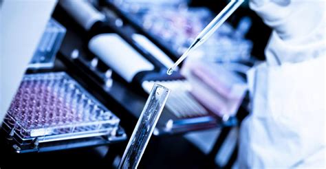 Creative Biolabs Harnesses Library Based Antibody Discovery Scientist Live