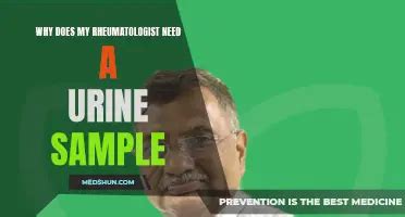 Understanding Mid Stream Urine Samples A Precise Collection Method