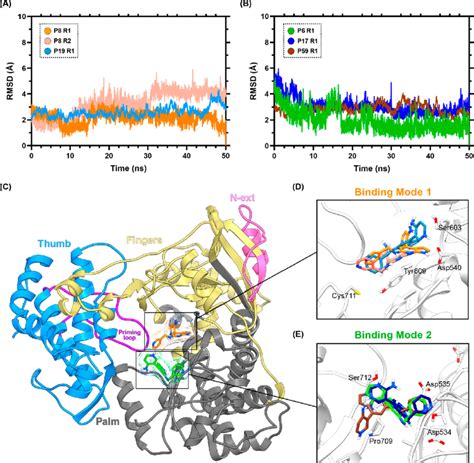Binding Modes Of Labmol 301 During Md Simulations With Zikv Ns5 Rdrp