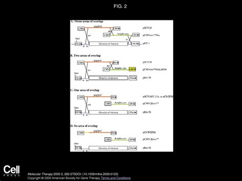 Volume 2 Issue 3 Pages September 2000 Ppt Download